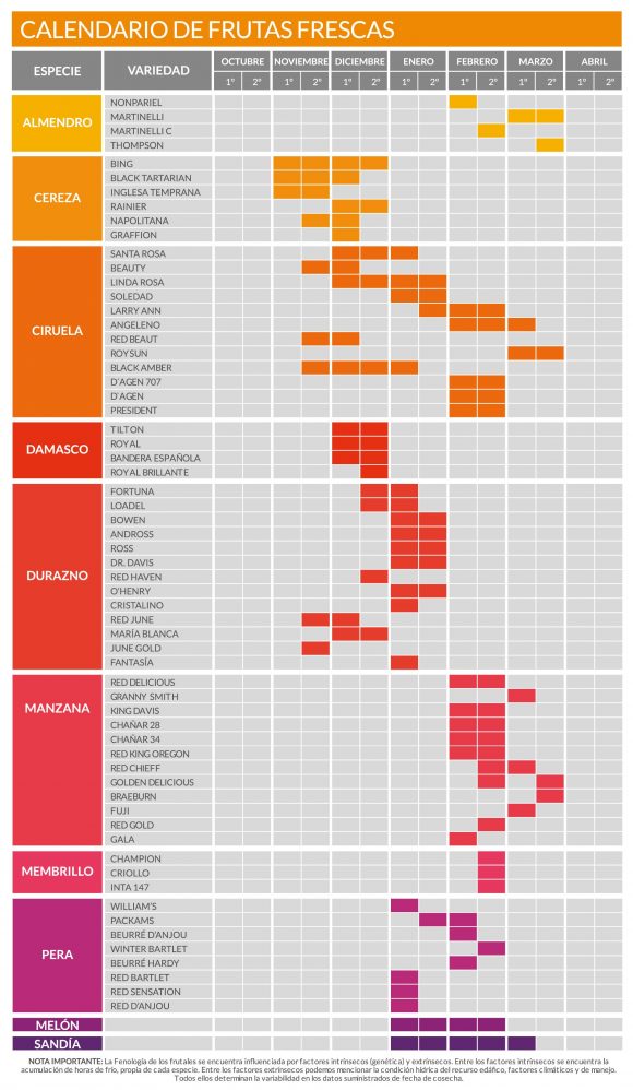Calendario de Frutas – ProMendoza